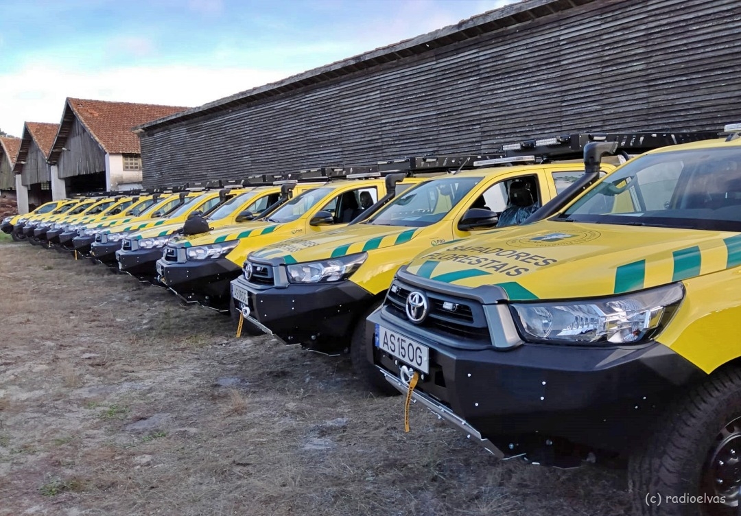ICNF entrega 78 viaturas a equipas de sapadores florestais - Rádio Elvas